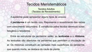 2º ANO - HISTOLOGIA VEGETAL.pptx