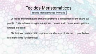 2º ANO - HISTOLOGIA VEGETAL.pptx