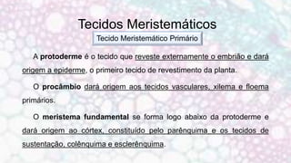 2º ANO - HISTOLOGIA VEGETAL.pptx