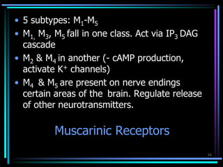 Autonomic Nervous System Pharmacology | PPT
