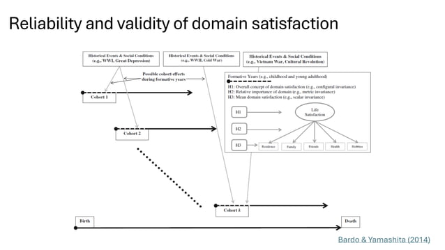 A better understanding of domain satisfaction: Validity and policy use ...
