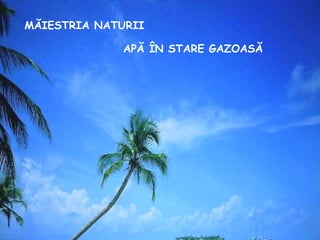 Apa | PPT