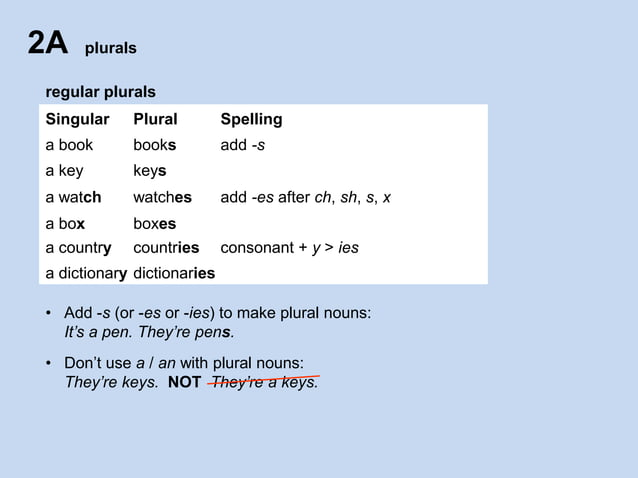 2A Plurals | PPSX