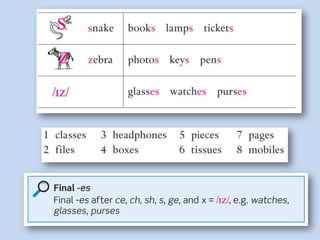 2A Plurals | PPSX