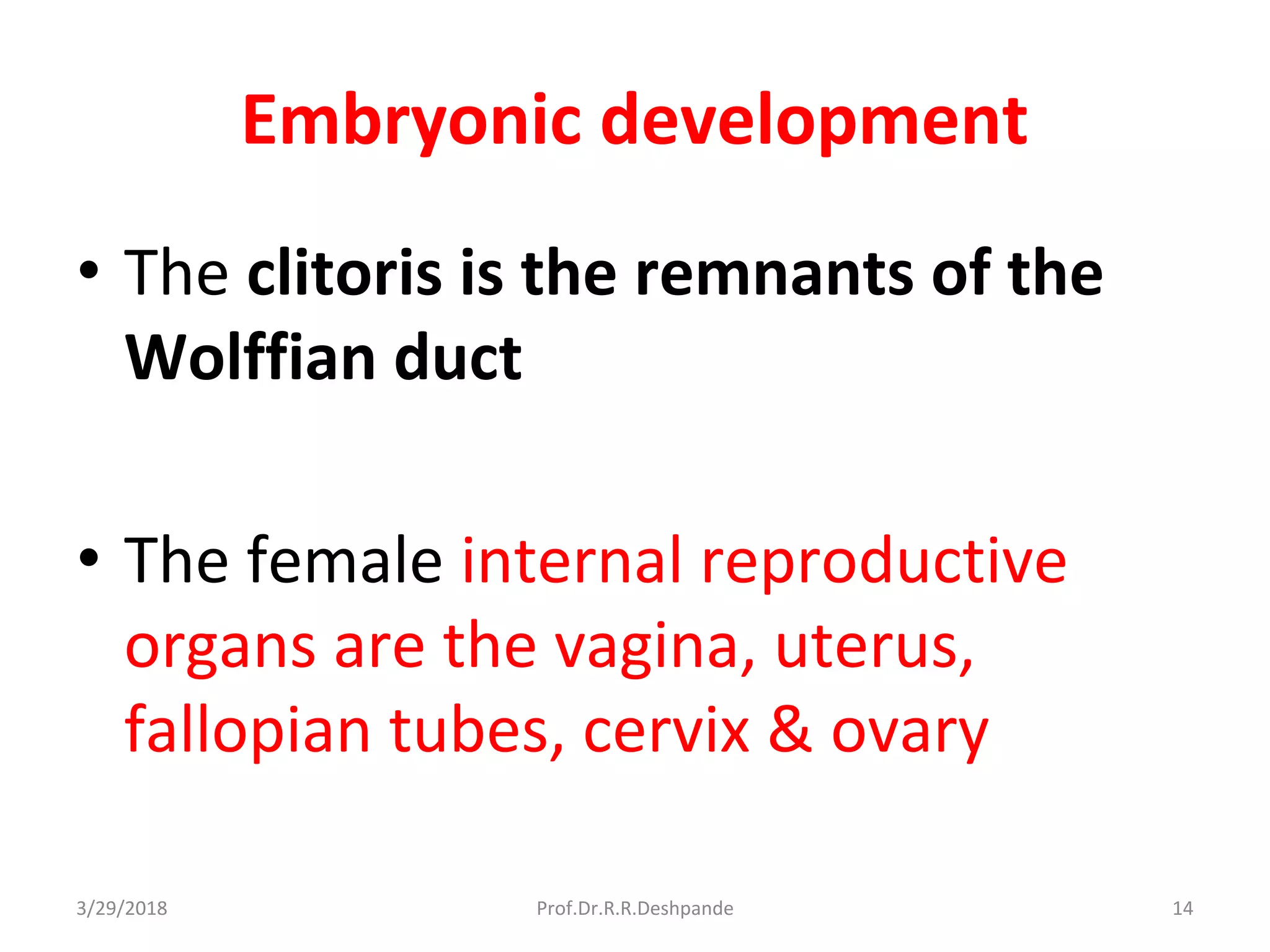 Female reproductive system | PDF