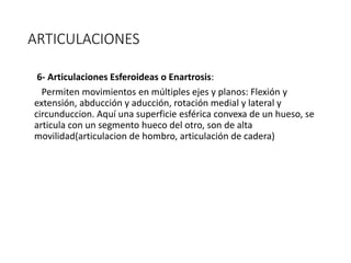 2 articulaciones | PPTX