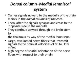 (2) Ascending Tracts - ppLemniscal.pptx