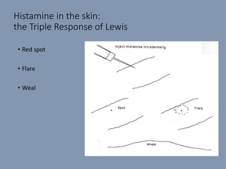 Autacoids ,histamine and antihistaminic | PPTX