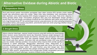 alternative oxidase : a mitochondrial respiratory pathway to maintain ...