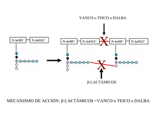 Antimicrobianos ztreonam VANCo Y TEICO | PPT