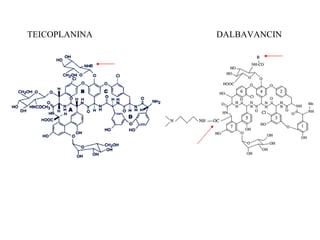 Antimicrobianos ztreonam VANCo Y TEICO | PPT