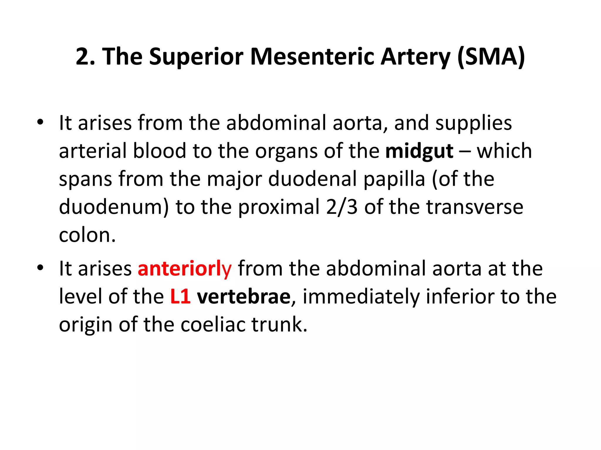 2 b. ABDOMINAL AORTA1.ppt