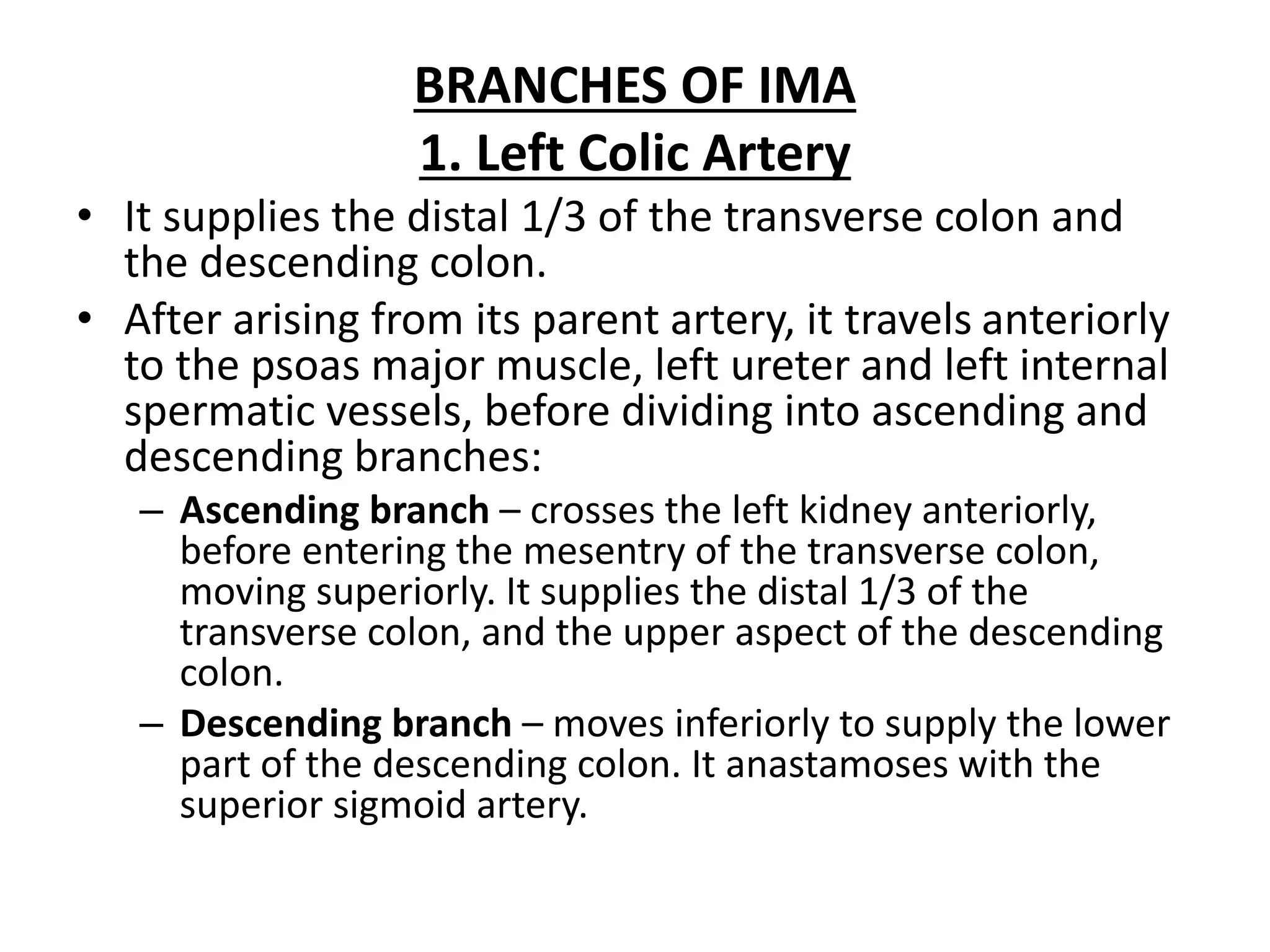 2 b. ABDOMINAL AORTA1.ppt