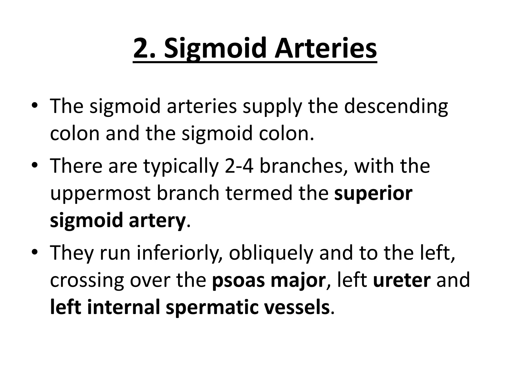 2 b. ABDOMINAL AORTA1.ppt