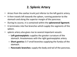 2 b. ABDOMINAL AORTA1.ppt