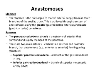 2 b. ABDOMINAL AORTA1.ppt