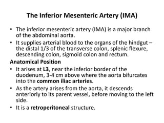 2 b. ABDOMINAL AORTA1.ppt
