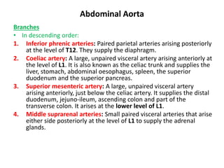 2 b. ABDOMINAL AORTA1.ppt
