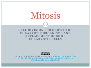 2b. Mitosis - PowerPoint.pdf
