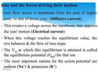 2b. Membrane Potentials n Excitable Tissues - PPT.pptx