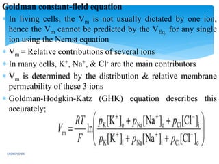 2b. Membrane Potentials n Excitable Tissues - PPT.pptx