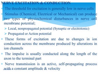 2b. Membrane Potentials n Excitable Tissues - PPT.pptx