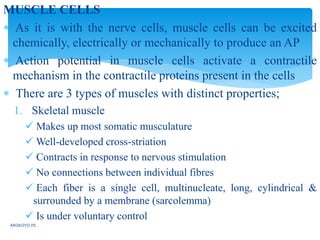 2b. Membrane Potentials n Excitable Tissues - PPT.pptx