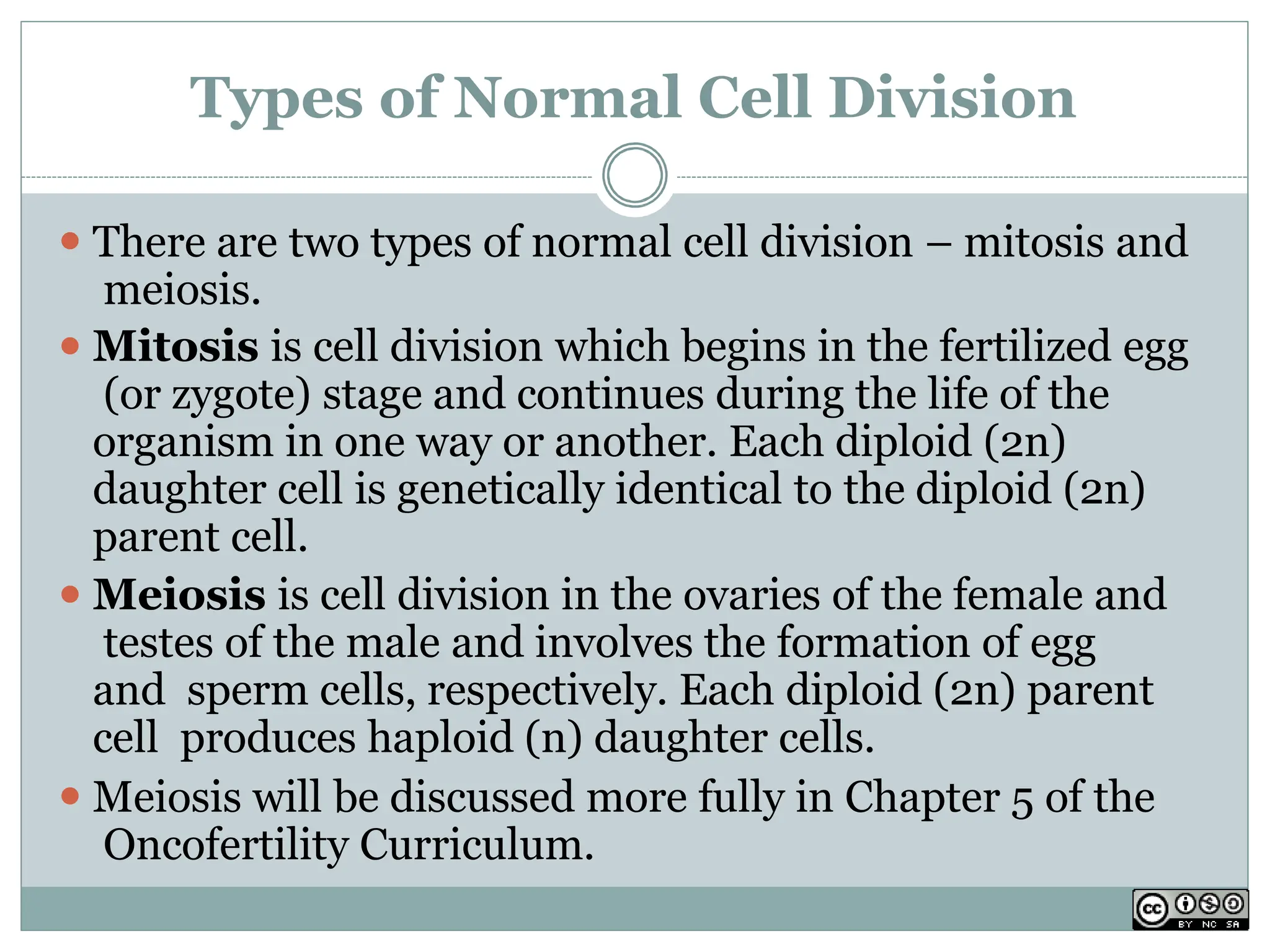 Cell division - Mitosis -PowerPoint.pptx