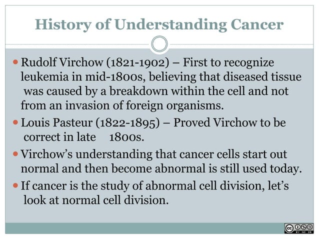 Cell Division Mitosis Powerpoint Pptx