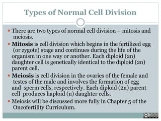 Cell division - Mitosis -PowerPoint.pptx