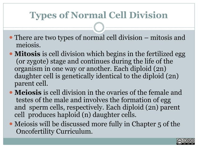 Cell division - Mitosis -PowerPoint.pptx