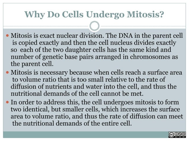 Cell division - Mitosis -PowerPoint.pptx