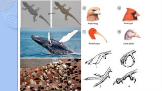 Adaptasi sel hewan dan manusia dalam kehidupan | PPTX