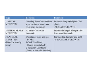2b-Cytohis ch of meris. tissue.pptx