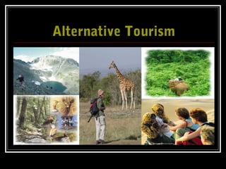 The Different Types of Tourism | PPT
