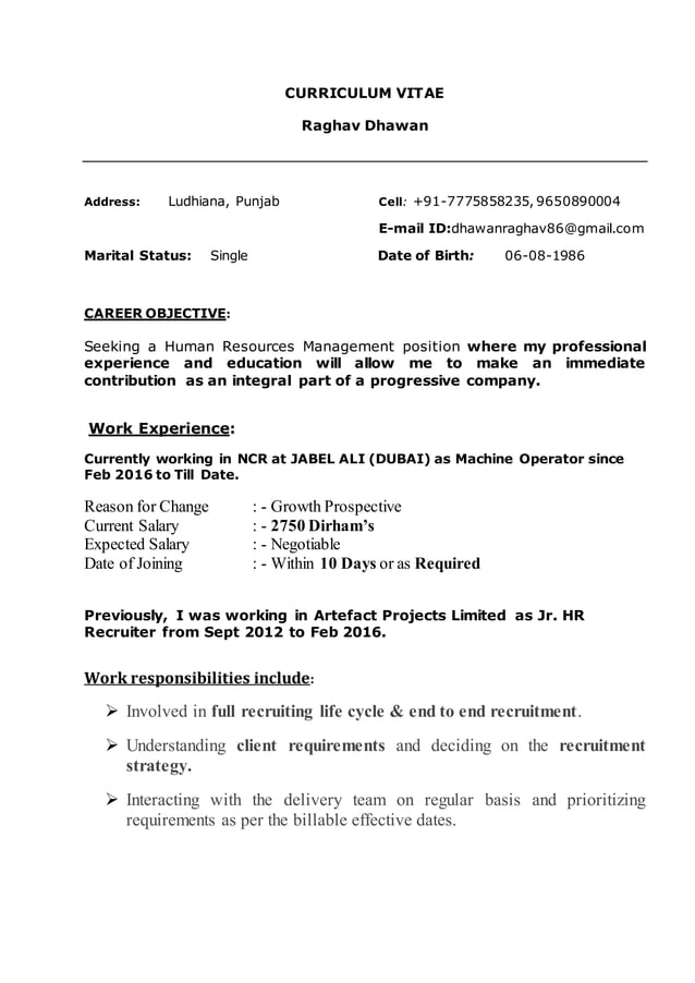 Raghav_updated resume | DOCX