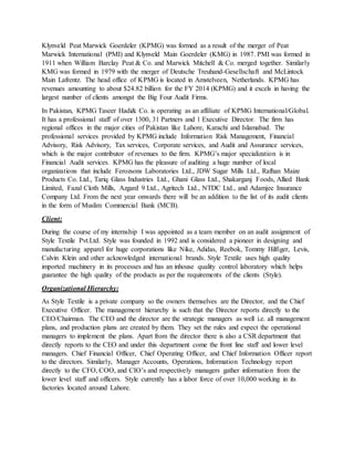 KPMG Audit Report | DOCX