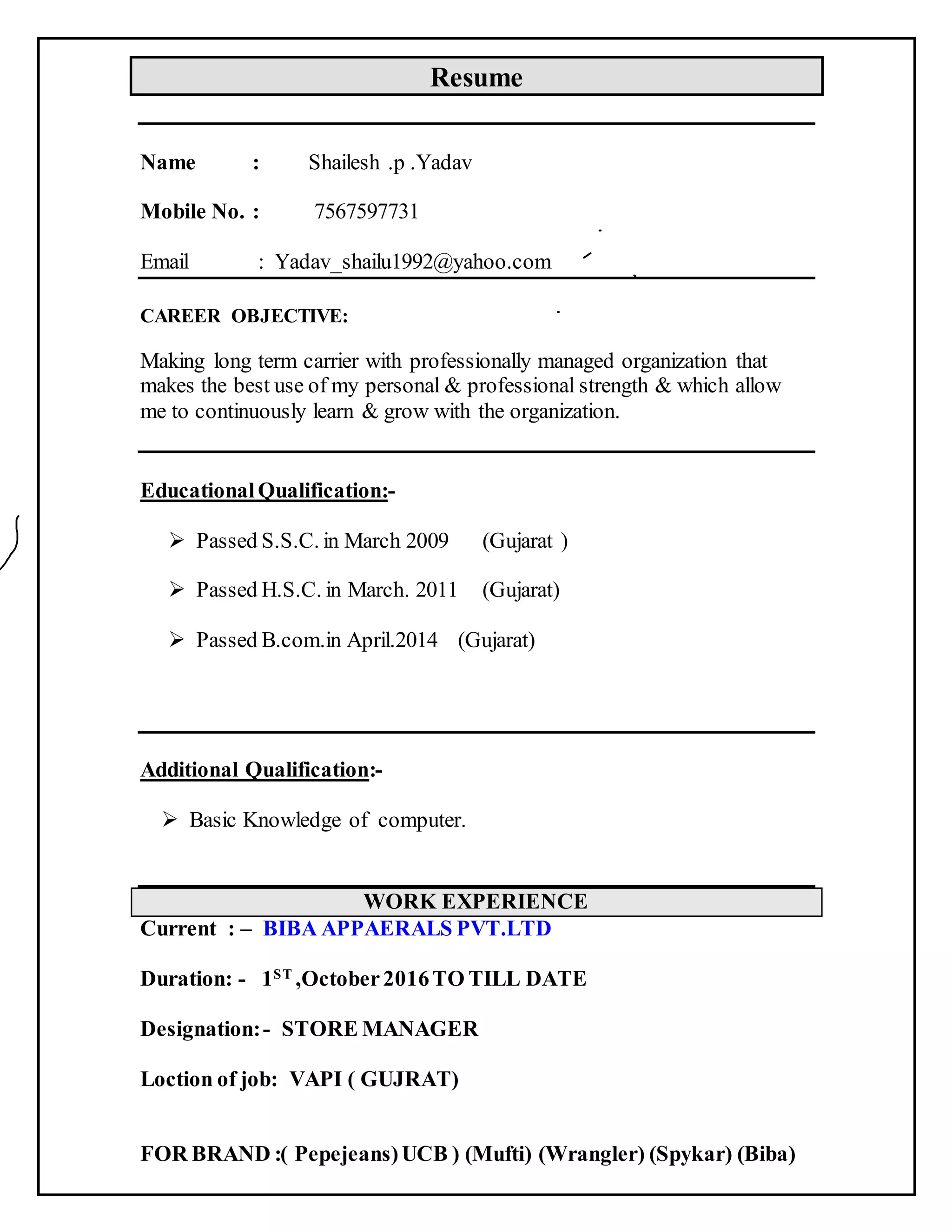 shailesh yadav Resume | DOCX