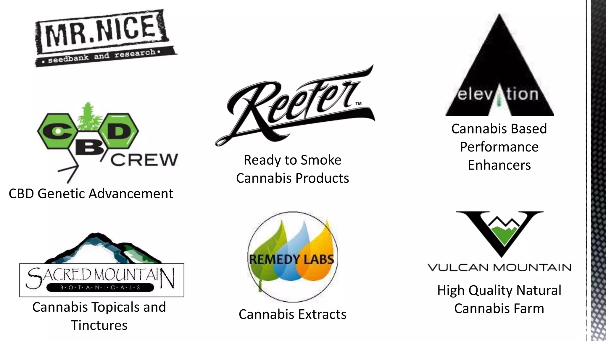 AVA Product Platform | PPT | Free Download