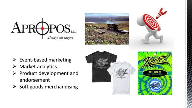 AVA Product Platform | PPT | Free Download