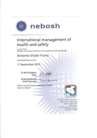 NEBOSH iDip Certificate | PDF