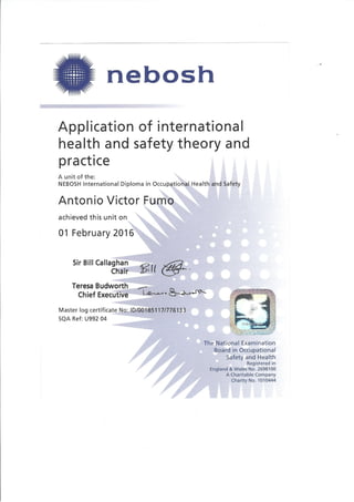 NEBOSH iDip Certificate | PDF