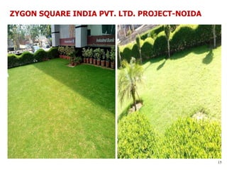 ANIL NURSERY PROFILE | PDF