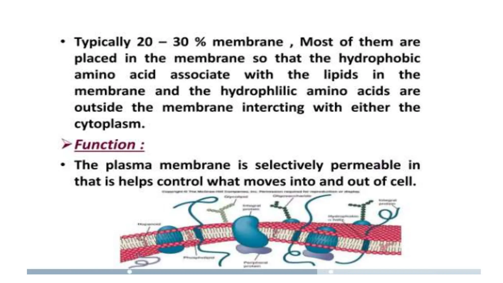 DPT - Bacterial cell structure | PPTX