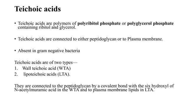 DPT - Bacterial cell structure | PPT