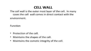 DPT - Bacterial cell structure | PPT | Free Download