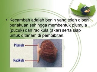 2 BAHAN TANAMAN.pptx