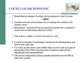 2(b) anatomy and physiology of the peripheral and central auditory ...