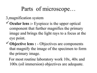 2 Basic Laboratory Equipments 22222pptx22 | PPTX