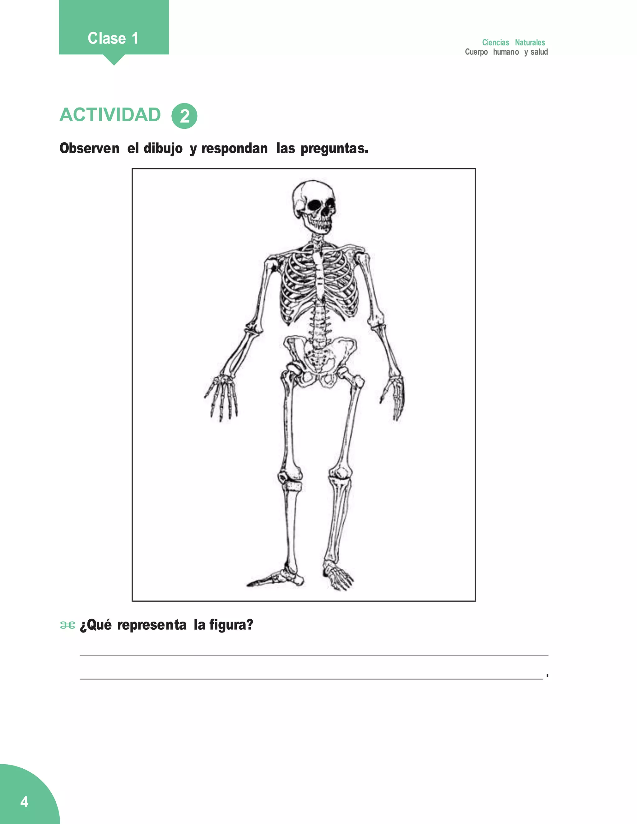 2 basico cuerpo_humano_y_salud_web-convertido | DOCX